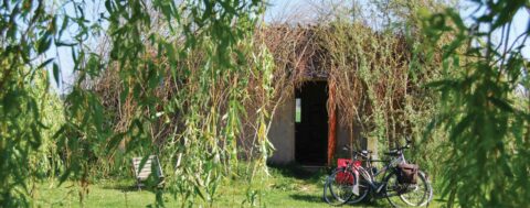 De beverburcht | Groene Camping in de Polder